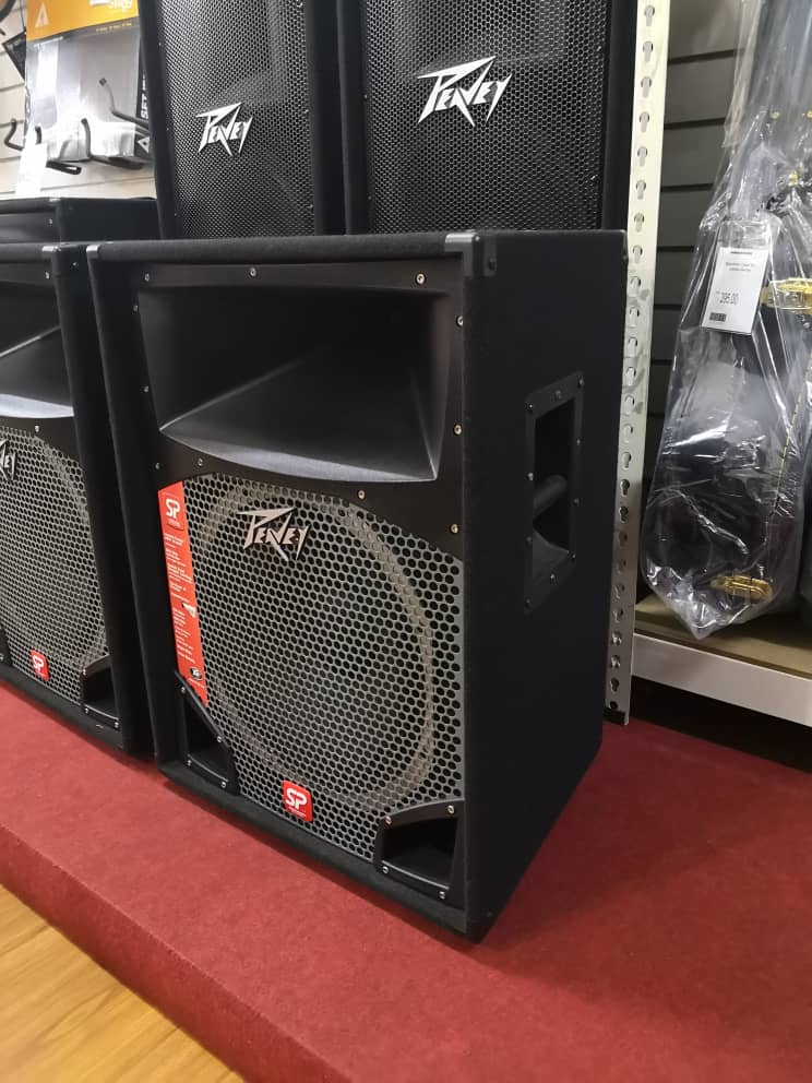 PEAVEY SP-5 PA SPEAKER (1 UNIT) - Sandman Guitar Centre